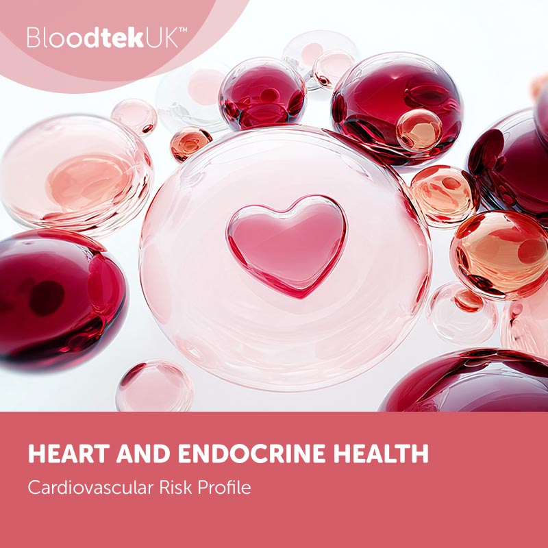 Cardiovascular Risk Profile – BloodtekUK